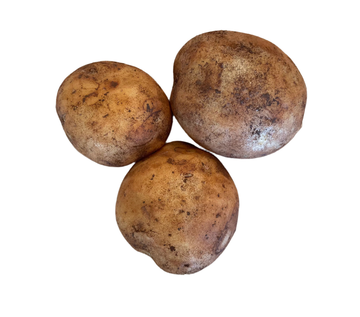 Organic Potatoes - Sebago - 1kg – Monika's Organics
